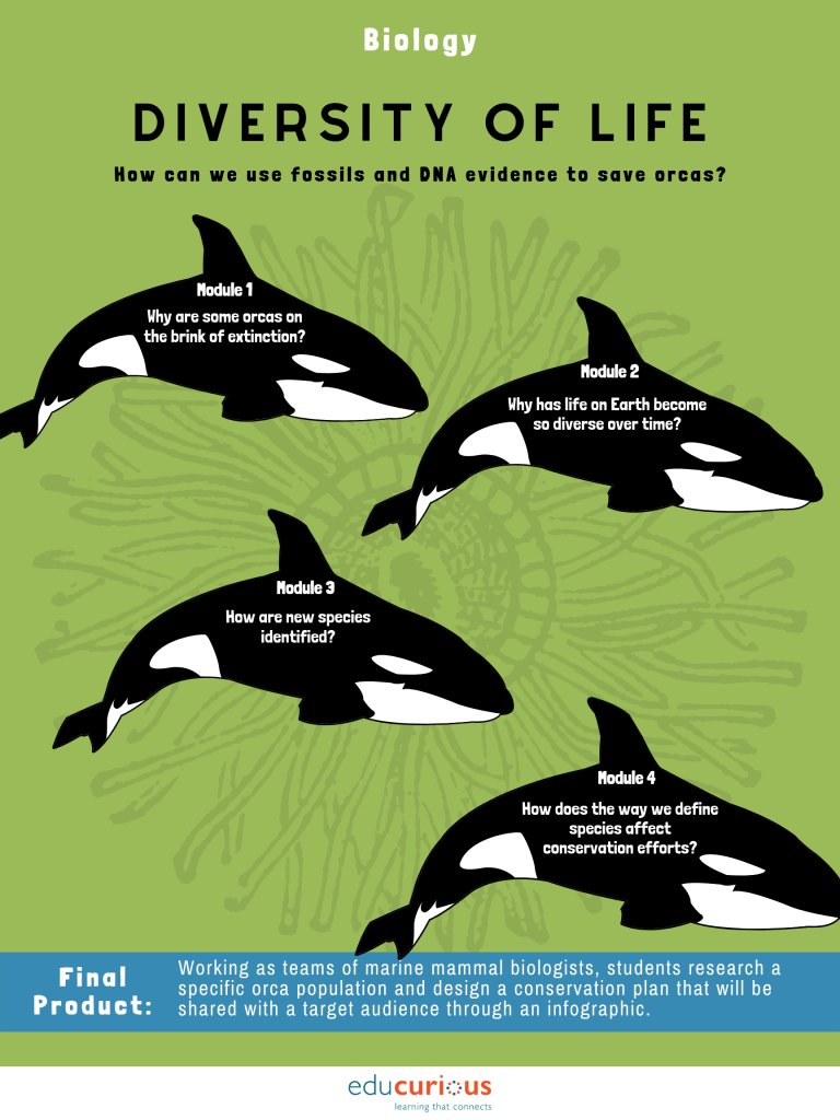 Diversity of Life - Educurious
